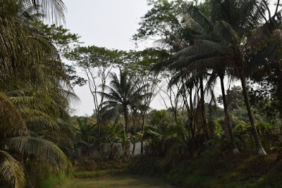 Pubail Resort Club Review 2022 | Best Resort In Gazipur