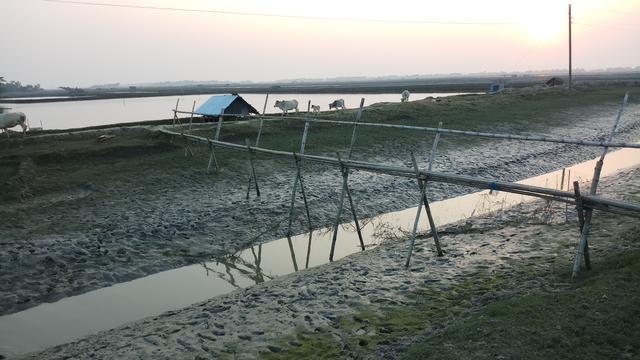 Amazing Bamboo Made Rural Bridge Images 2022