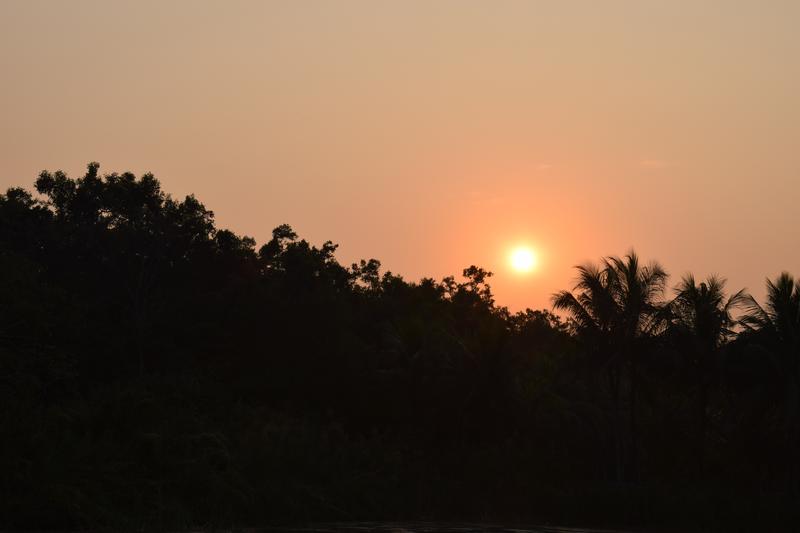 Sundarbans Karamjol Wildlife Sanctuary Amazing 15 Pictures