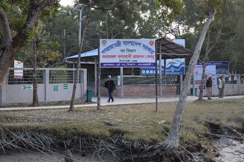 Sundarbans Karamjol Wildlife Sanctuary Amazing 15 Pictures