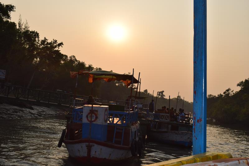 Sundarbans Karamjol Wildlife Sanctuary Amazing 15 Pictures