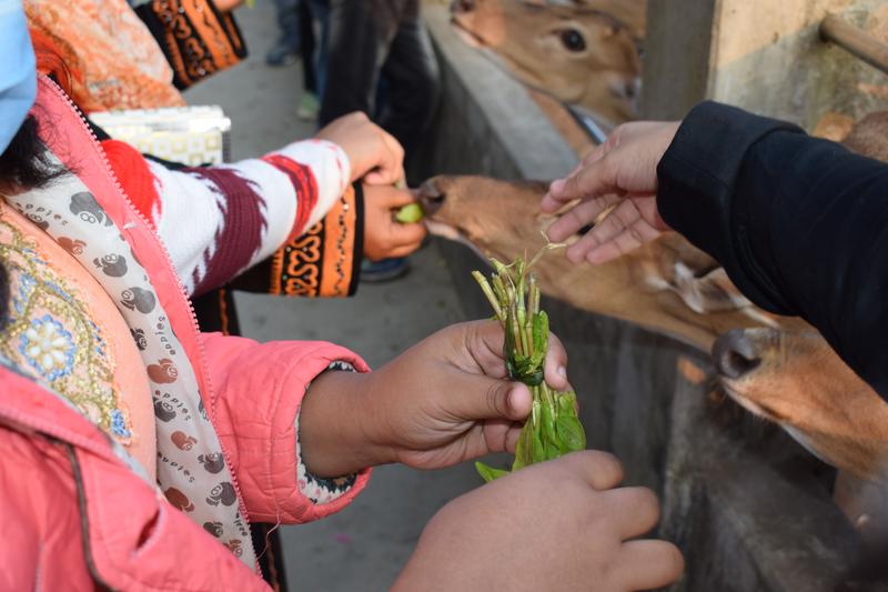 Sundarbans Karamjol Wildlife Sanctuary Amazing 15 Pictures