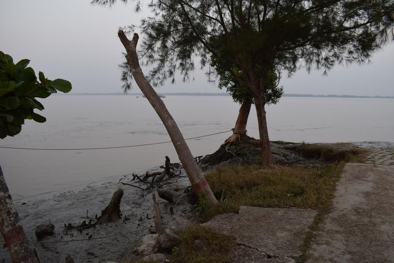 Sundarbans Karamjol Wildlife Sanctuary Amazing 15 Pictures