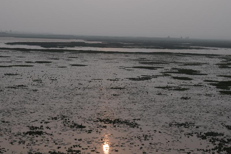 Amazing Baikka Beel Permanent Fish Sanctuary Tour Tips 2022